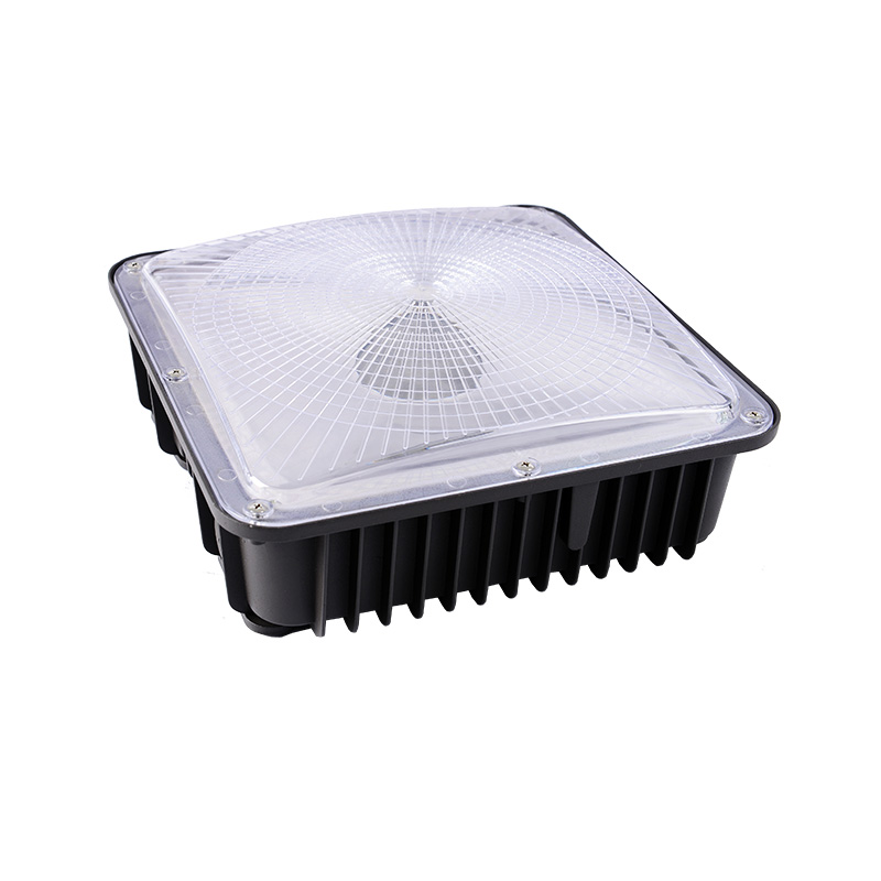 Lithonia Lighting Canopy