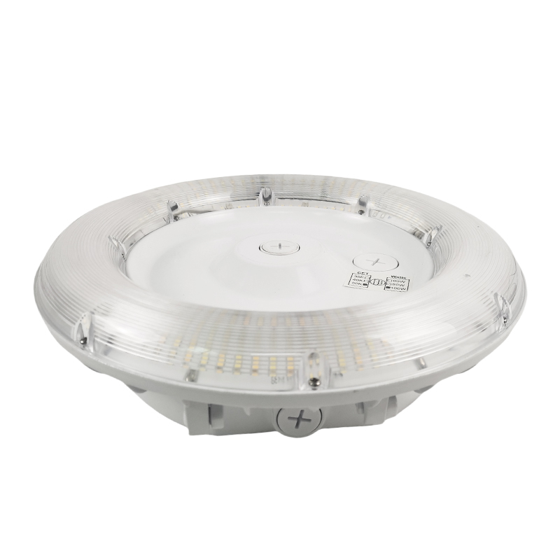CPSL100 Canopy Light-Indoor, Outdoor & Industrial LED Lighting Factory ...