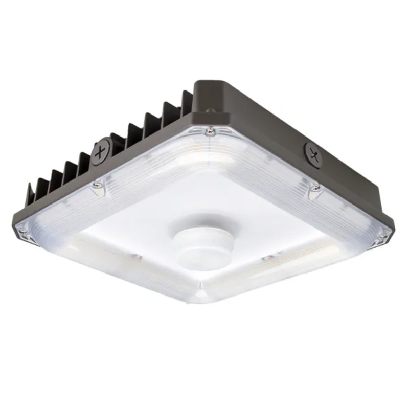 CPSM100 Canopy Light-Indoor, Outdoor & Industrial LED Lighting Factory ...